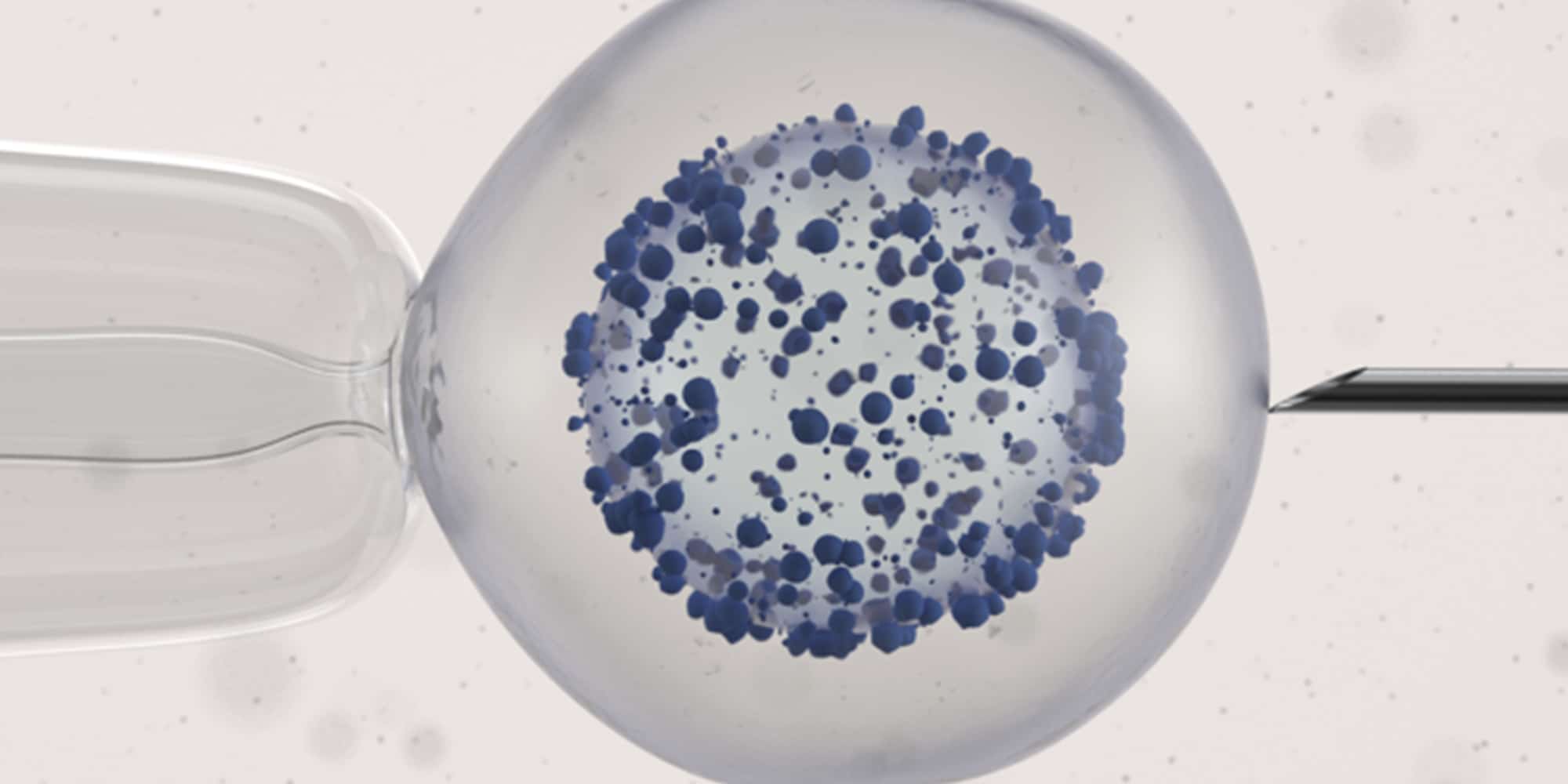 Como a mulher deve se preparar para inseminação artificial?